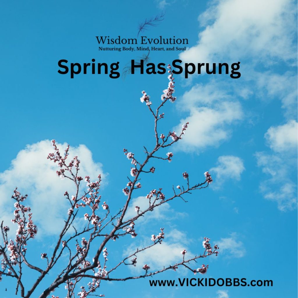 Wisdom Whispers Blog – Vicki Dobbs